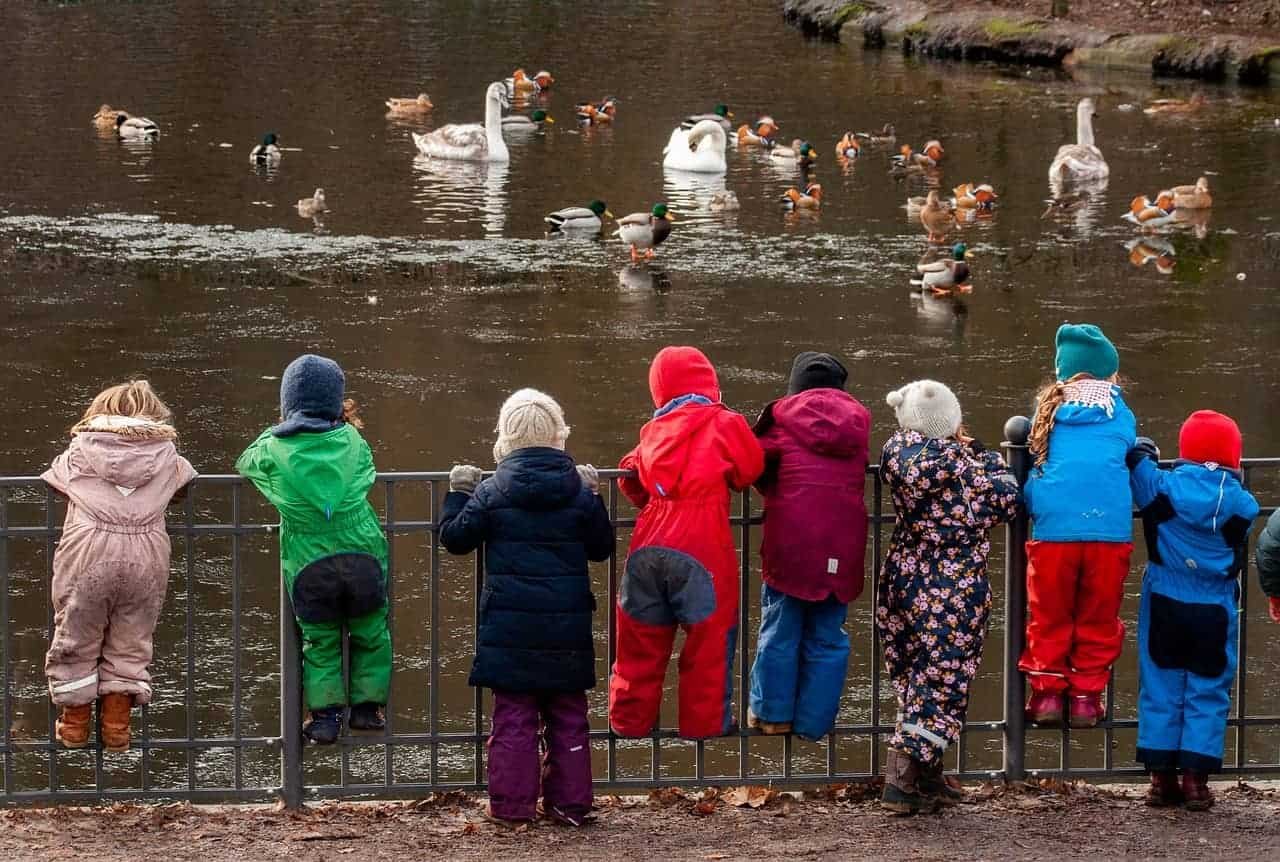 How to Identify Next Steps for Child’s Learning? Here are 4 Great Ways How to Identify Next Steps for Child’s Learning? Here are 4 Great Ways